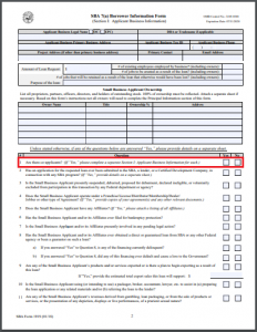 SBA Form 1919: What the Borrower Information Form Is & How to Fill It Out