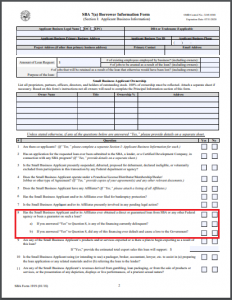 SBA Form 1919: What the Borrower Information Form Is & How to Fill It Out
