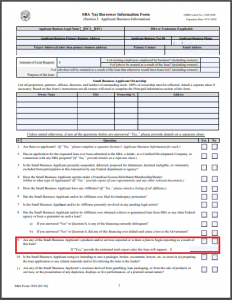 SBA Form 1919: What the Borrower Information Form Is & How to Fill It Out