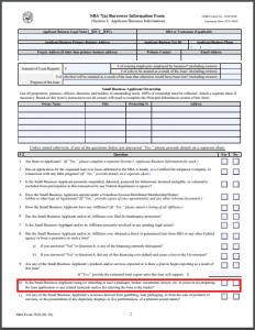 SBA Form 1919: What the Borrower Information Form Is & How to Fill It Out