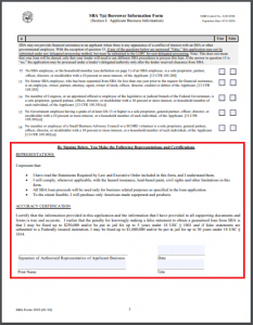SBA Form 1919: What the Borrower Information Form Is & How to Fill It Out