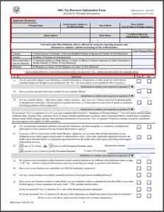SBA Form 1919: What the Borrower Information Form Is & How to Fill It Out