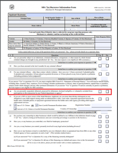 SBA Form 1919: What the Borrower Information Form Is & How to Fill It Out