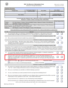 SBA Form 1919: What the Borrower Information Form Is & How to Fill It Out