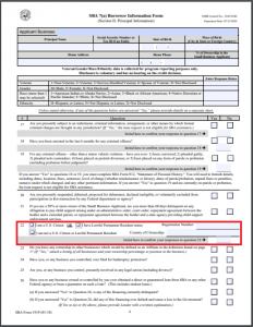 SBA Form 1919: What the Borrower Information Form Is & How to Fill It Out