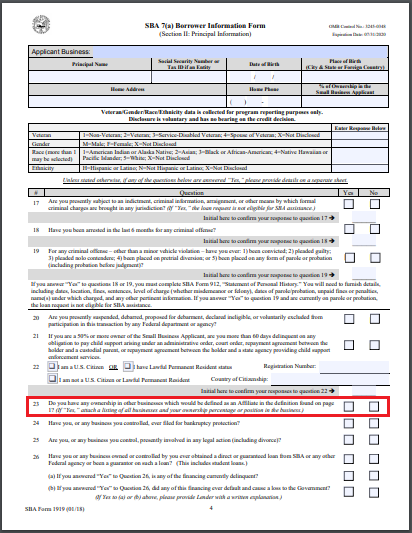 SBA Form 1919: What the Borrower Information Form Is & How to Fill It Out