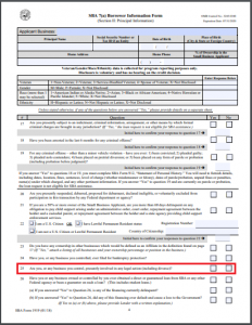 SBA Form 1919: What the Borrower Information Form Is & How to Fill It Out