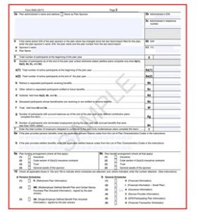 IRS Form 5500: What It Is & How To Fill It Out