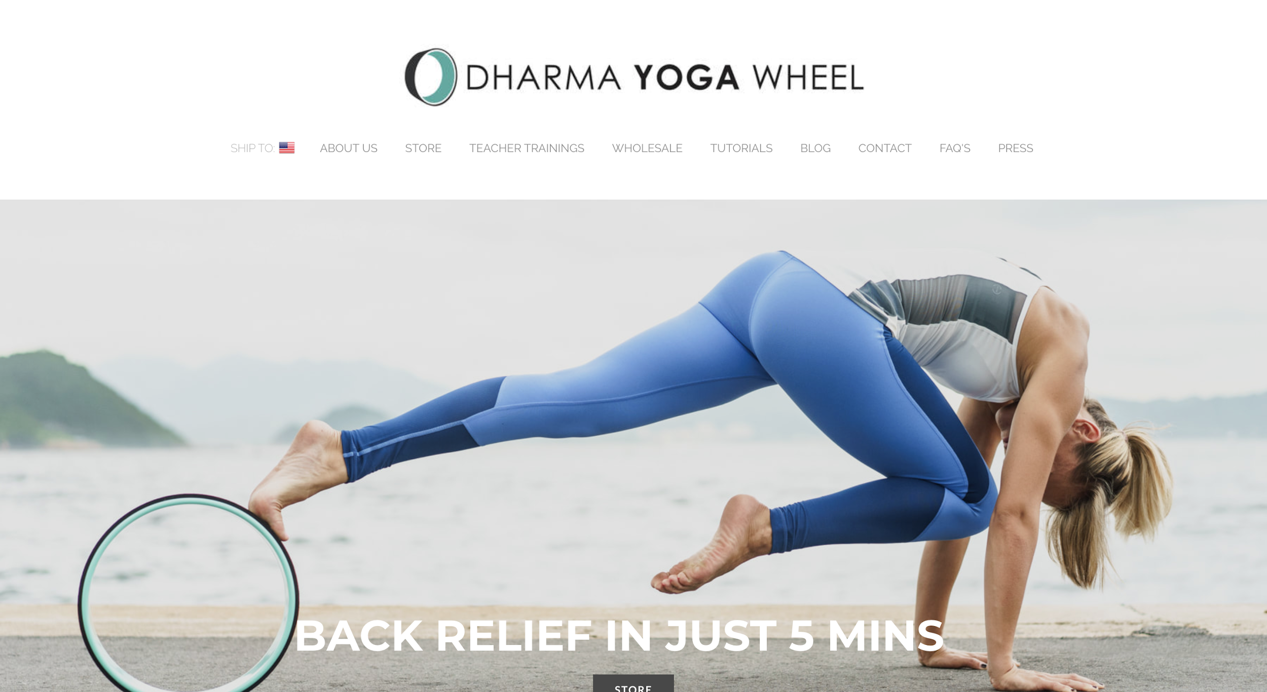 How to Set Up a Weebly Store & 3 Great Examples