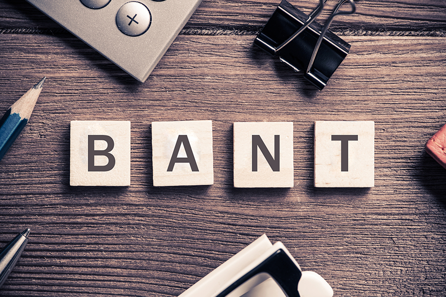 How to Use the BANT Method Find the Most Qualified Leads
