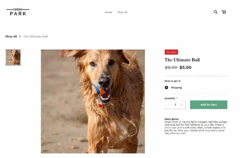 How to Quickly Set Up a Weebly Store in 8 Easy Steps (+ Examples)