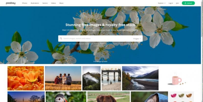 13 Best Sites to Find Free Professional Images for Your Website