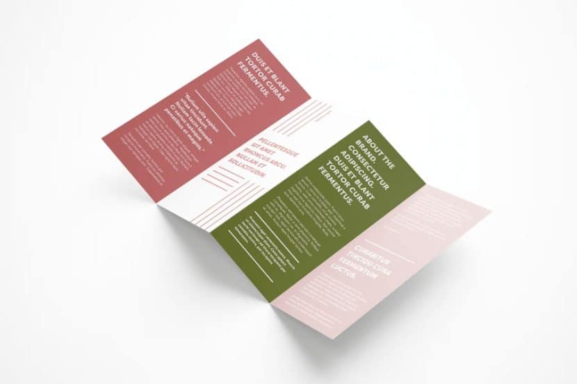 12 Brochure Design Ideas to Showcase Your Brand (+ Takeaways)