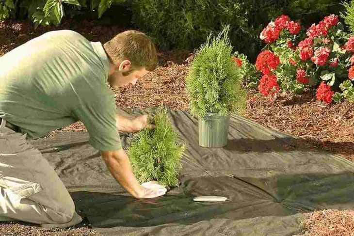 View Most Recent Insurance Articles