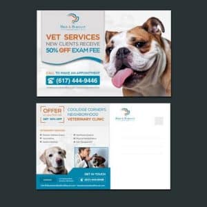 Top 16 Postcard Examples for Design Inspiration