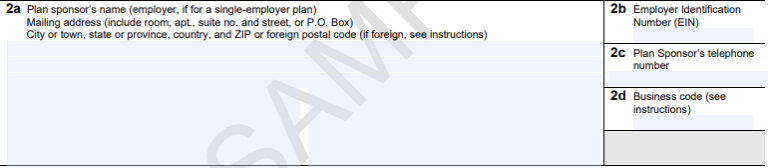 What Is Form 5500 & How to Fill It Out
