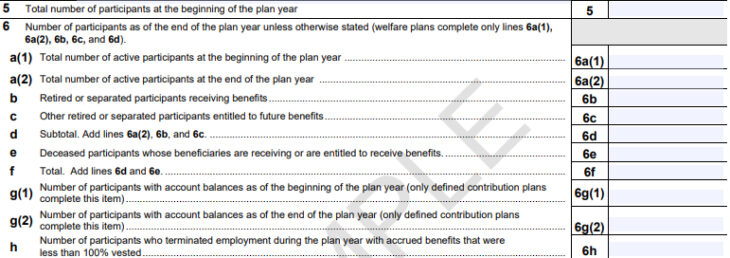 What Is Form 5500 & How to Fill It Out