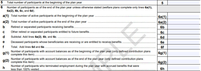 What Is Form 5500 & How to Fill It Out
