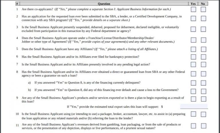 SBA Form 1919: What It Is & How To Complete It