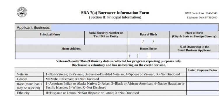 SBA Form 1919: What It Is & How To Complete It