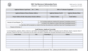 SBA Form 1919: What It Is & How To Complete It