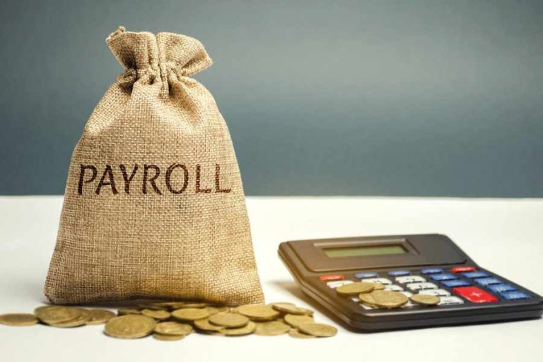 Payroll Services Cost: Guide for Small Businesses in 2024