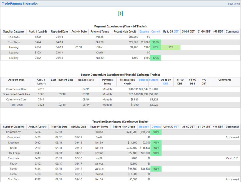 Business Credit Report: What It Is & How To Read It