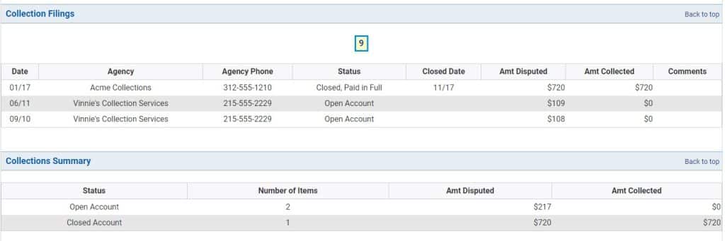 Business Credit Report: What It Is & How to Read It