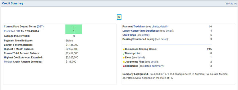 Business Credit Report: What It Is & How To Read It