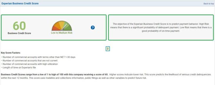 Business Credit Report: What It Is & How To Read It