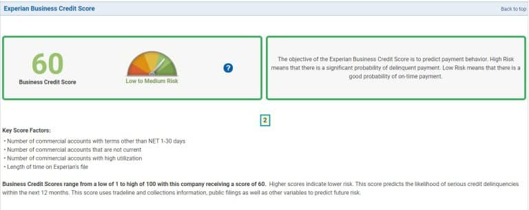 Business Credit Report: What It Is & How To Read It