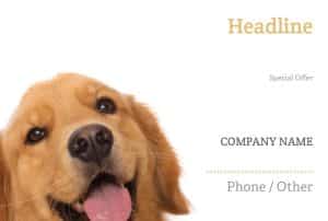 8 Best Direct Mail Services for Small Businesses Right Now