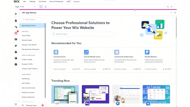 Wix vs WordPress for Business Websites: Which Is Best in 2022?