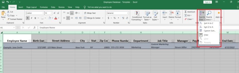 How to Create an Employee Database in Excel (+ Free Template)