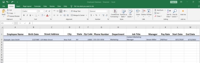 How to Create an Employee Database in Excel (+ Free Template)