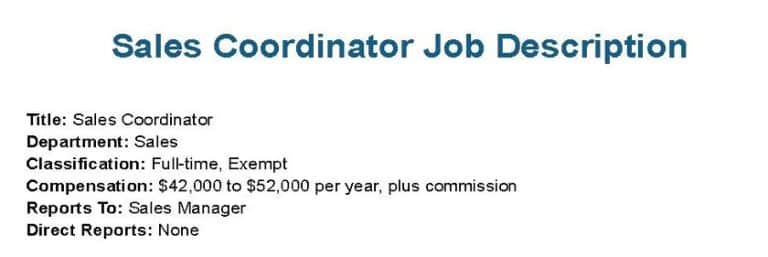 Sales Coordinator Job Description Template