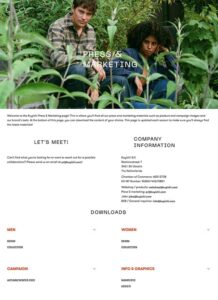 How to Make a Press Kit in 8 Steps (+ Template & Examples)