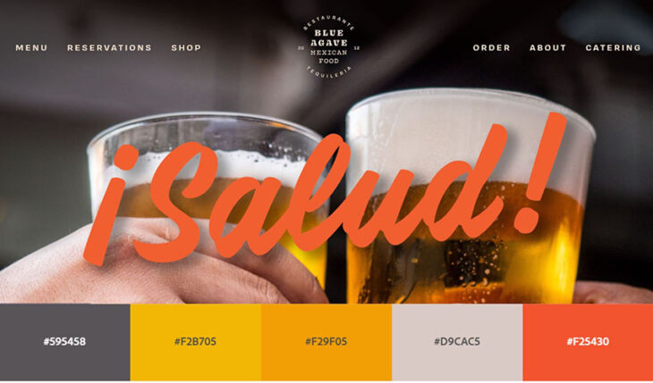 25 Best Color Palettes for Websites (+ Examples)