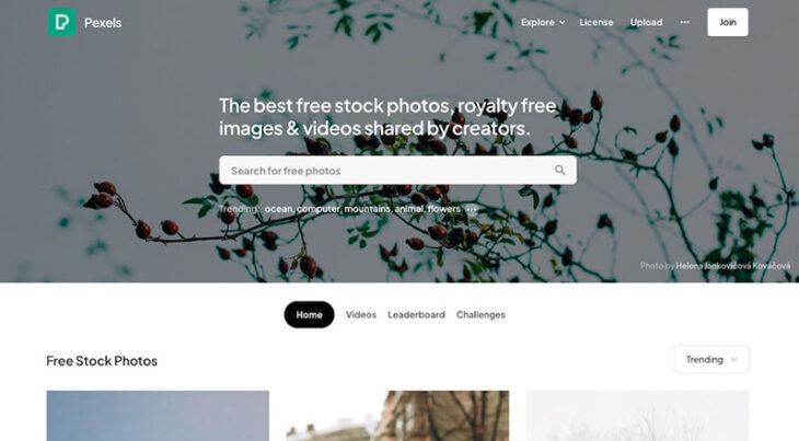 15 Best Places to Get Free Images for Website Design