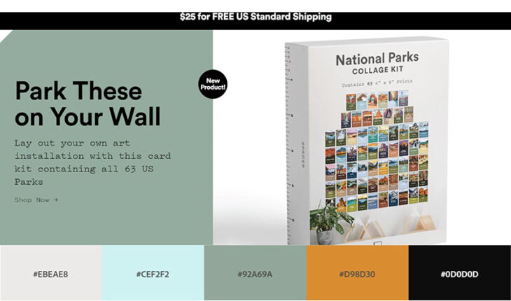 25 Best Color Palettes for Websites (+ Examples)