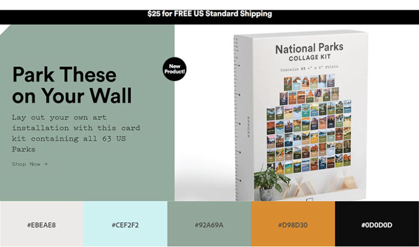25 Best Color Palettes for Websites (+ Examples)