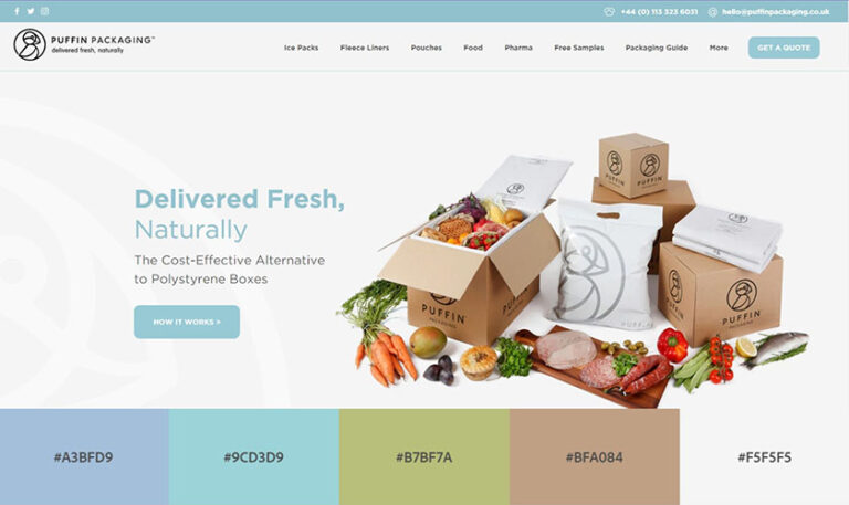 25 Best Color Palettes for Websites (+ Examples)