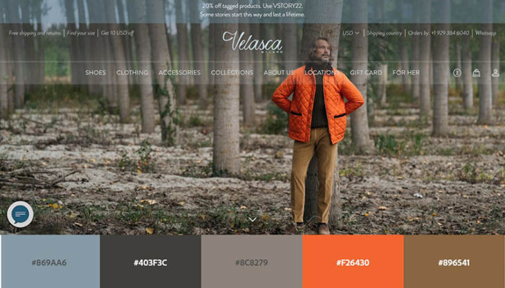 25 Best Color Palettes for Websites (+ Examples)