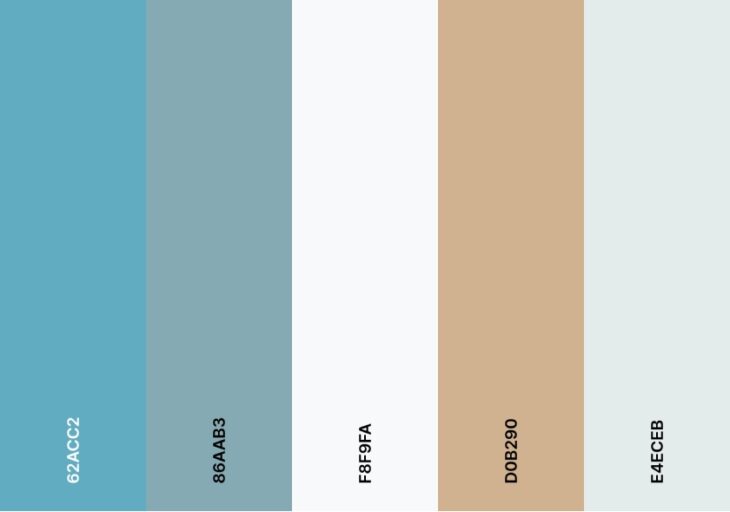 15 Best Color Palettes for Websites (+ Examples & Tips)
