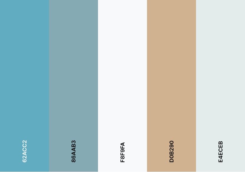 15 Best Color Palettes for Websites (+ Examples & Tips)