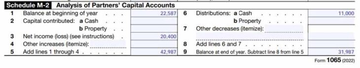 Form 1065 Step-by-Step Instructions (+Free Checklist)