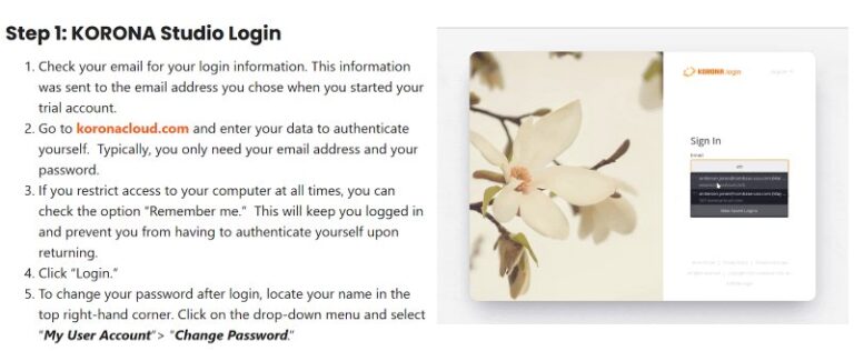 KORONA POS Review: Best for High-risk Retailers