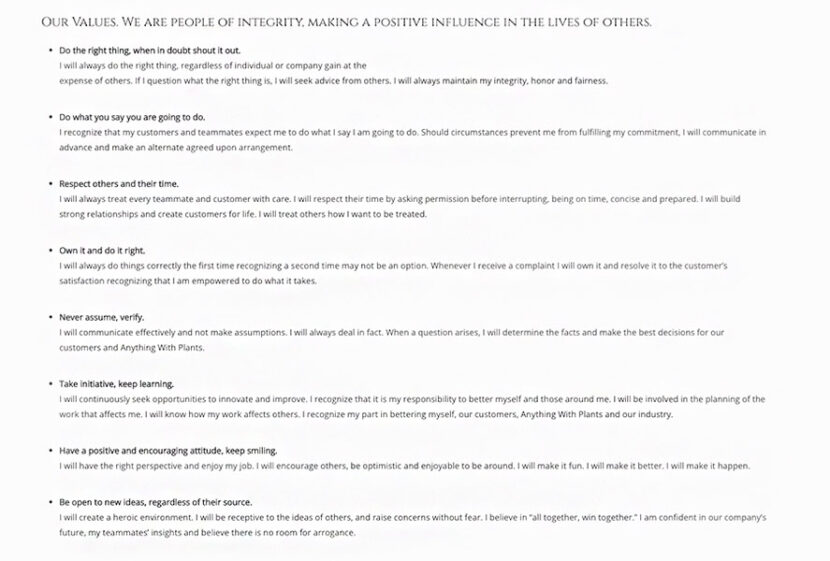 11 Core Value Examples for Small Businesses