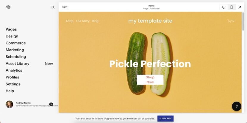 How to Use Squarespace to Build a Website (+ Video Tutorial)