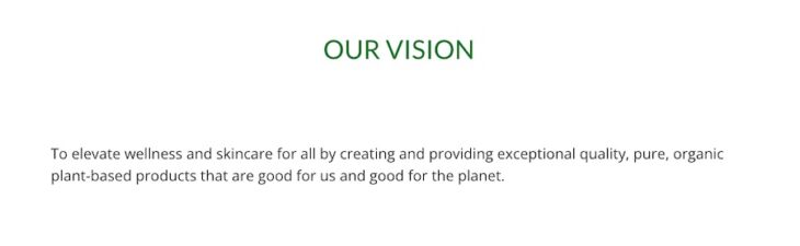 12 Inspiring Vision Statement Examples for Small Businesses